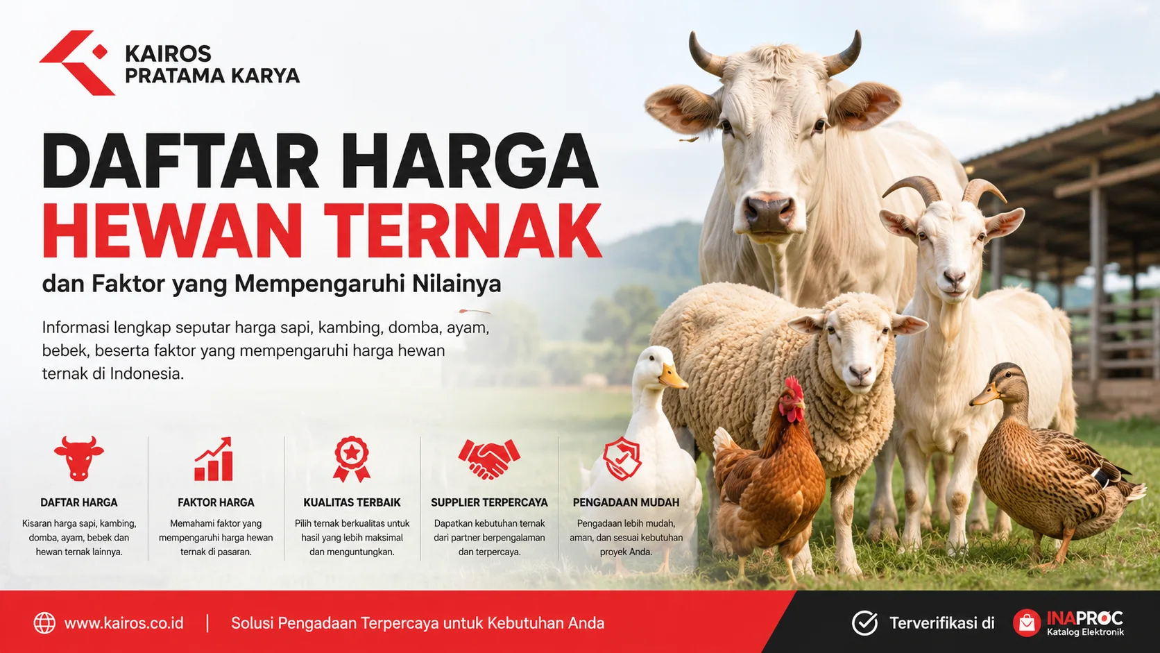 Harga Hewan Ternak Terbaru dan Peluang Usahanya